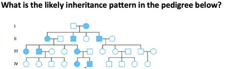 Solved What Is The Likely Inheritance Pattern In The