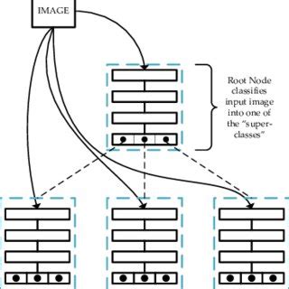 PDF Tree CNN A Hierarchical Deep Convolutional Neural Network For Incremental Learning
