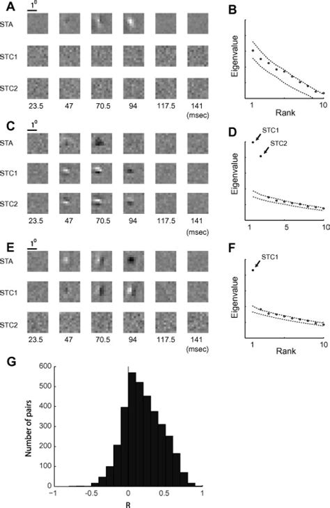 Characterization Of Spatiotemporal Receptive Fields Strf A And B