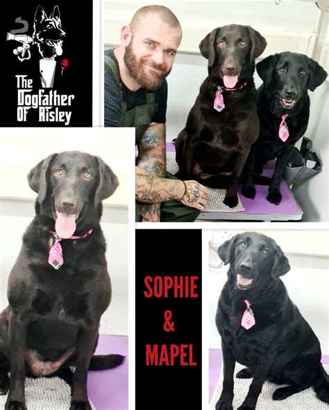 Last Duo Of The Day Were Sophie The Dogfather Of Risley