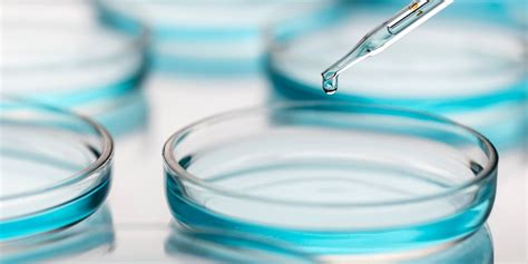 The Role Of Molecular Testing An Overview Sbmf