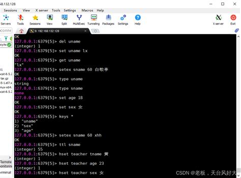 Linux之redis安装及配置kinux里查询redis Csdn博客