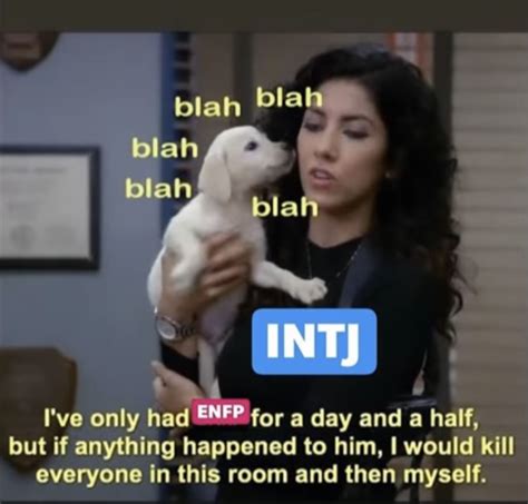 Pin By WilT Ta On Mbti Mbti Relationships Enfp Personality Intj Enfp