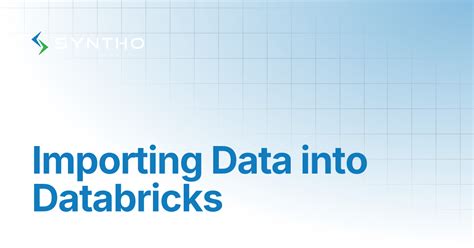 Importing Data Into Databricks Syntho Documentation