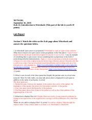 NETW W Lab Report Template Docx NETW September ILab Introduction To