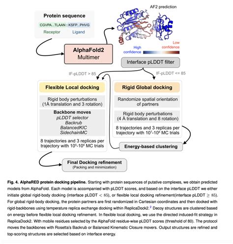 enhancing protein docking with alphared a balanced approach to protein complex prediction