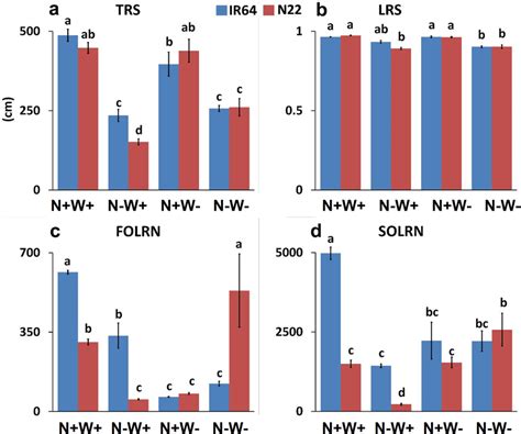 Root System Architecture Rsa Of Two Rice Genotypes I E Ir64 And