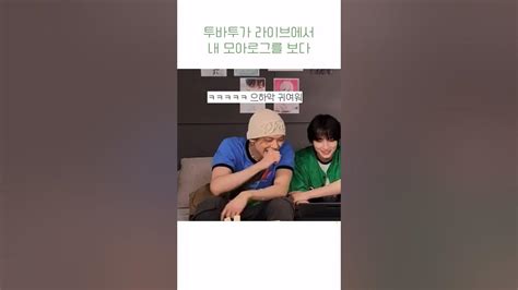 ⊹⁺⸜ 투바투가 실시간으로 내 모아로그 봄😶 모아 투모로우바이투게더 투바투 위버스라이브 모아로그 추천 Youtube