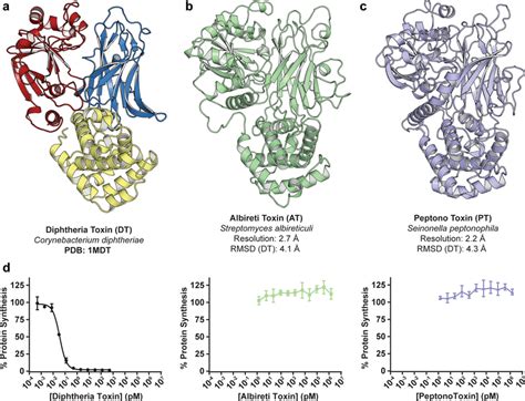 Structures And Functions Of Remote Diphtheria Toxin Homologs A Crystal Download Scientific