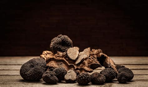 The Difference Between White And Black Truffle Ultimate Guide