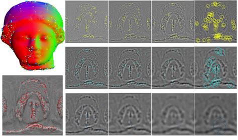 Keypoint Detection In The Diffusion Space A The Igea Model With All Download Scientific