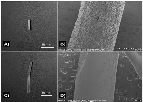 Tobramycin Sulfate Semantic Scholar