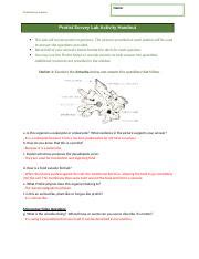 Protist Survey Lab Worksheet Docx Name Protist Survey Lab Doc Protist Survey Lab Activity
