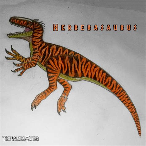 Herrerasaurus Ischigualastensis By Thepalaeowriter By Thepalaeowriter