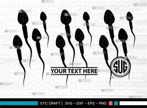 Sperm Monogram Sperm Silhouette Sperm Svg Male Anatomy Svg Semen