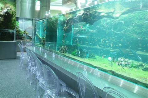 잠실 아쿠아가든 카페 수족관카페 물고기 보며 커피마시기 네이버 블로그