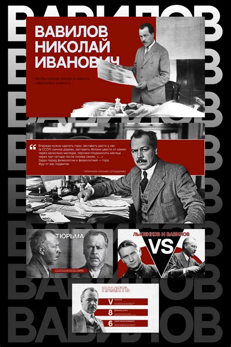 Дизайн презентации Вавилов в 2025 г Презентация Дизайн презентации Брендбук