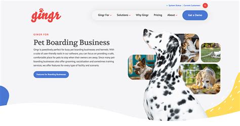 Gingr For Pet Care Businesses Gingr