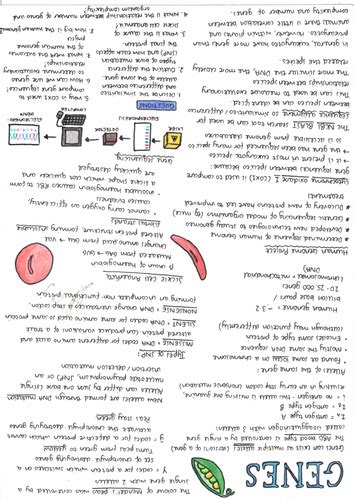 Ib Biology Genes Teaching Resources