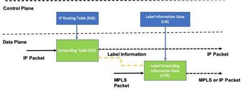 Label Forwarding Information Base Lfib And Lib Tuc Blog