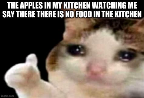 Sad Cat Thumbs Up Imgflip