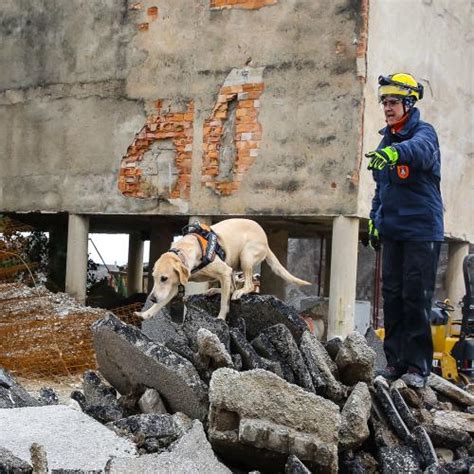 Kapp Call For Proposals Ucpm Full Scale Exercises Ucp Knowledge Network