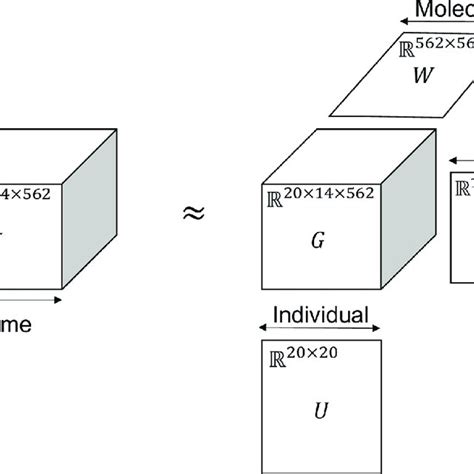 tensor decomposition using the tucker model is a weighted sum of outer