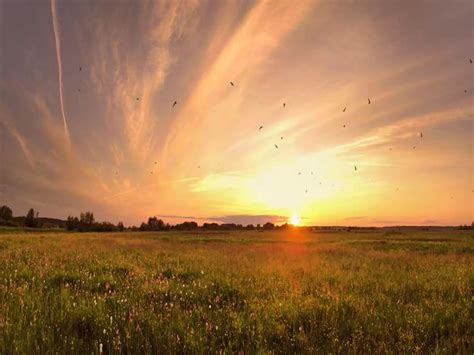 Media And Comm Text Storyboard Pptx Business Business And Finance