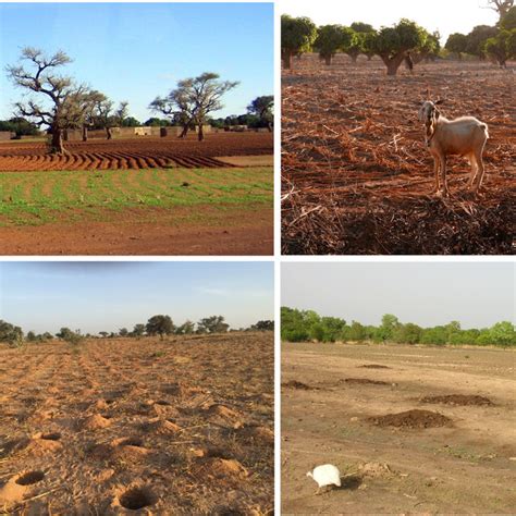 Examples Of Practices Studied To Improve Soil Fertility And