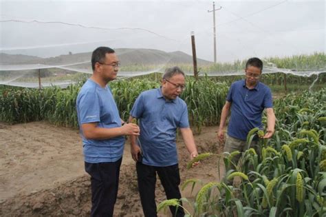 樊廷录赴会宁试验站检查院列生物育种项目 甘肃省农业科学院 作物研究所