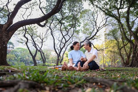 공공 공원에서 여름 피크닉을 즐기며 사랑 장수 및 건강한 결혼 관계를 위해 함께 손을 잡고 있는 시니어 아시아 커플 2명에 대한 스톡 사진 및 기타 이미지 Istock