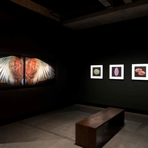 Led Framing Projector Lights For Artwork Design And Placement Guide