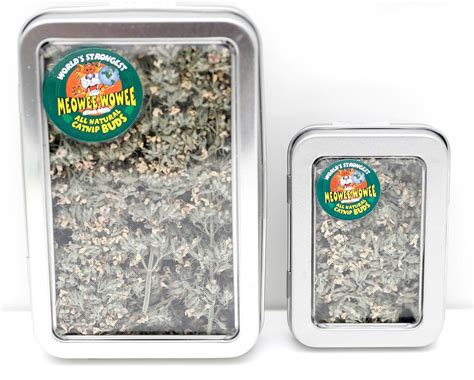 Catnip Chris The Cat