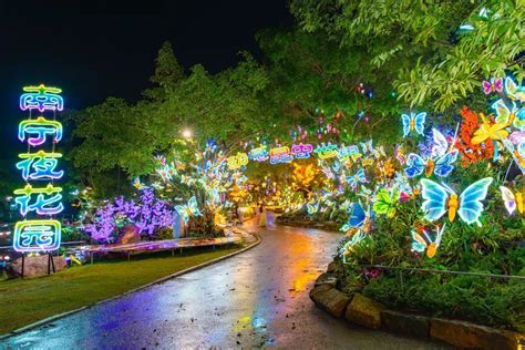 新晋夜景打卡地！带你轻松玩转南宁夜花园 南宁新闻网