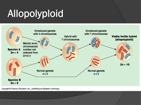 Ppt Chapter 24 The Origin Of Species Powerpoint Presentation Free