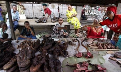 Five Tonnes Of Illegal Bushmeat Being Smuggled Into Europe Each Week