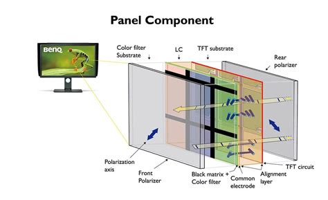 Monitor Panel Ranking At Isabel Newell Blog