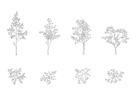 Trees And Saplings Dwg Cad Blocks In Plan And Elevation 30 Pieces Trees And Saplings Dwg Cad Blocks In Plan And Elevation 30 Pieces
