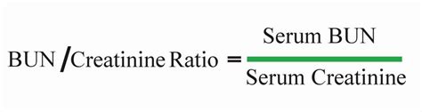 Bun Creatinine Ratio Low