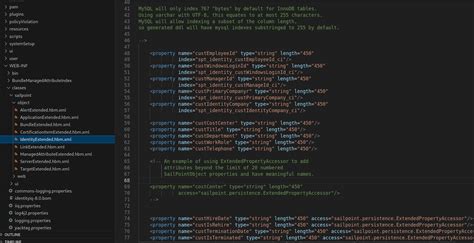 creating a custom identity attributes using identityextended hbm xml