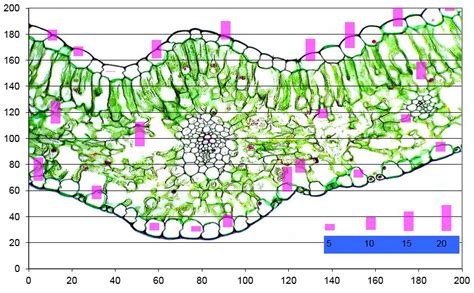 advanced graphs using excel overlay plots over pictures such as