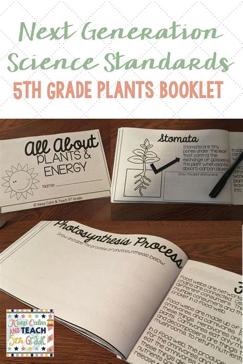 Animal Classification Foldable Artofit