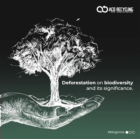 The Impact Of Deforestation On Biodiversity Aco Recycling