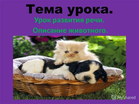 Презентация на тему: "Тема урока. Урок развития речи. Описание ...