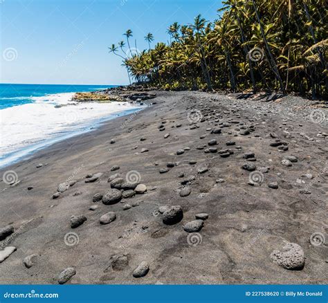 Playa De Arena Negra De Pohoiki Con Palmeras Foto De Archivo Imagen
