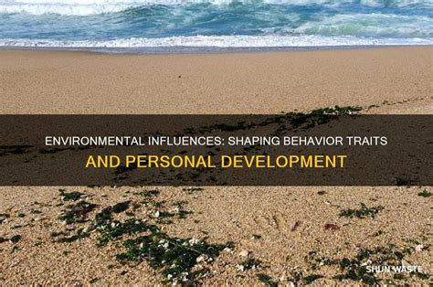Environmental Influences Shaping Behavior Traits And Personal