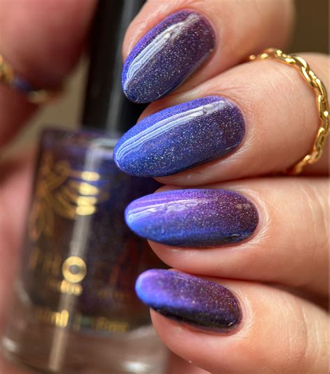 Drolta Rainbow Connection