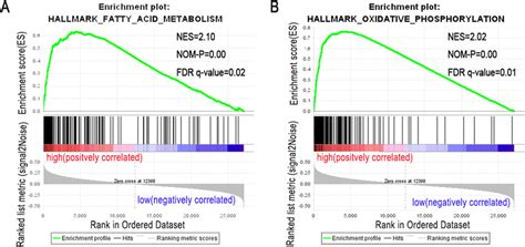 Enrichment Plots From Gene Set Enrichment Analysis Gsea Gsea Results