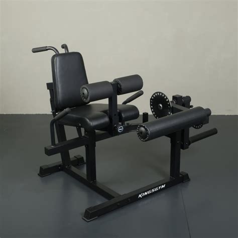 Leg Extension Curl Light