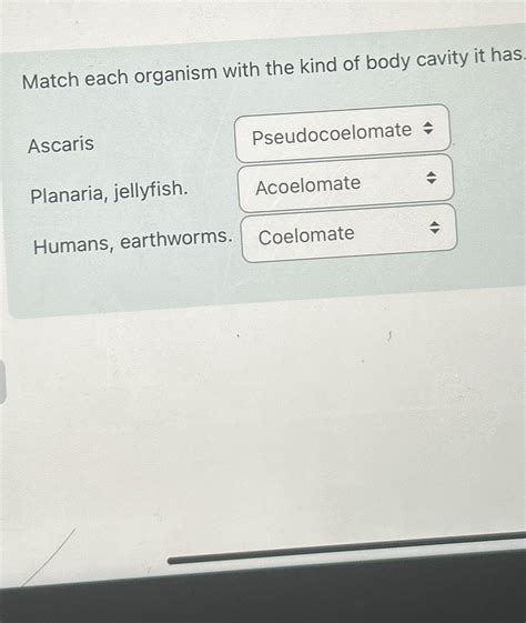 Solved Match Each Organism With The Kind Of Body Cavity It